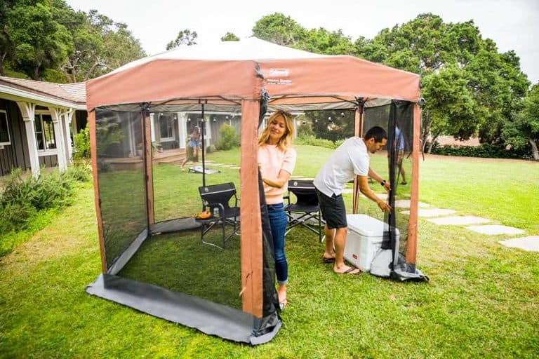 What to Bring to a Picnic: The Ultimate Guide (2021) | Picnic Tale