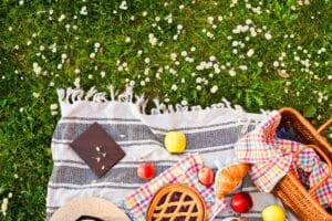 How To Keep Ants Off Your Picnic Blanket (7 Methods) - Picnic Tale