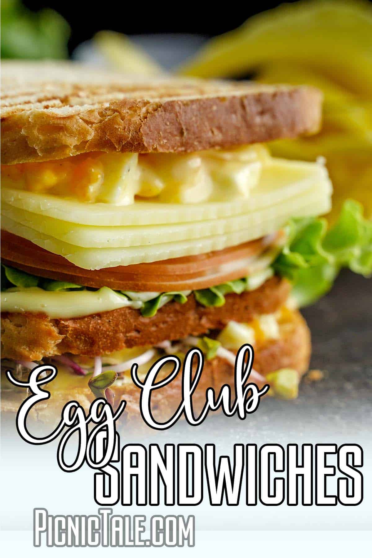 Egg Club Sandwiches Mini - Picnic Tale